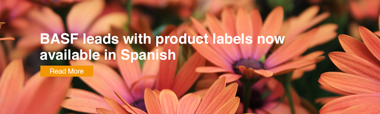 BASF Ornamentals | Home